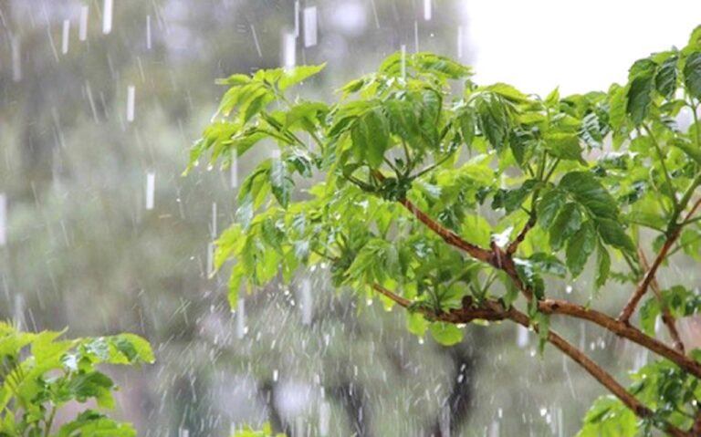 Togo- Pluies hors saison : les explications de la météo face à l ...